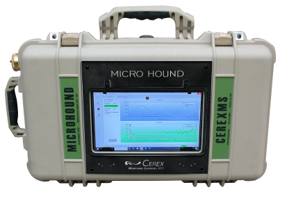 Portable Point Gas Analyzer